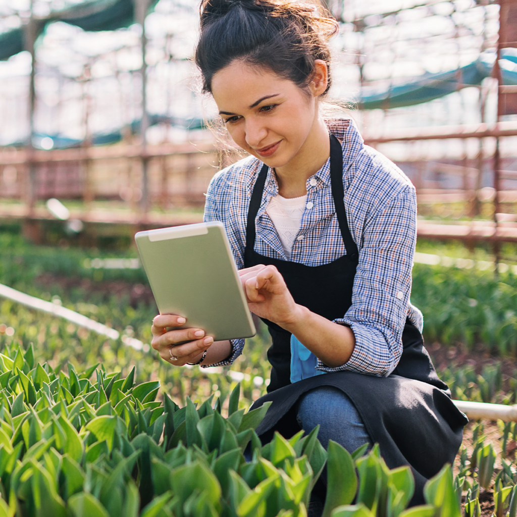 Empire State Development Announces Application Window Open for Round ...