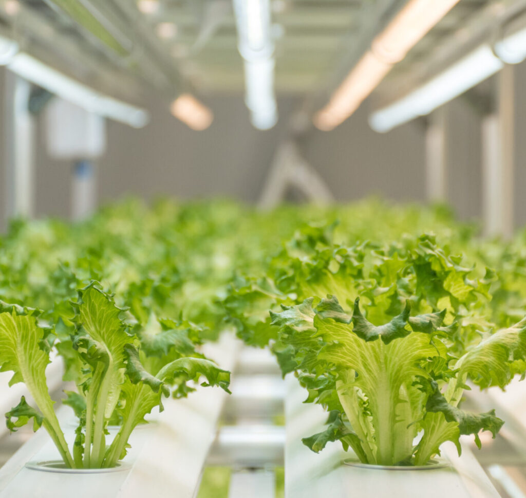 Empire State Development Announces Application Window Opens for Round ...